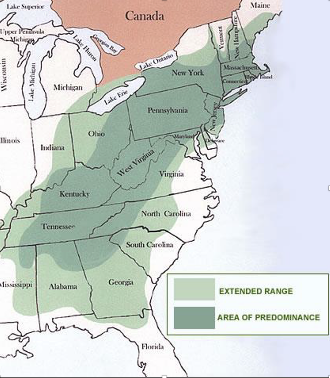 AMCNH Conservation Corner: The Story of the American Chestnut - by ...